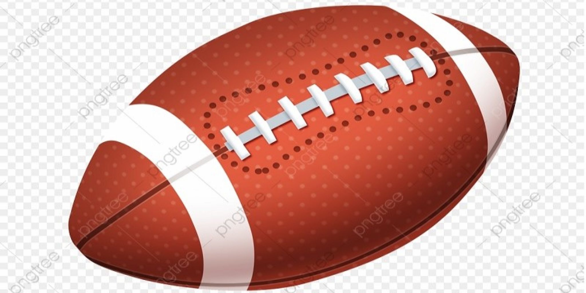 What is the NFL: All you need to know about the NFL